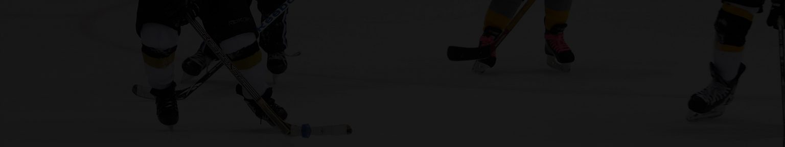 Ice Rental Langley BC – Langley Sportsplex