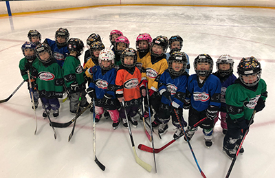 Langley Sportsplex – Ice Skating Rinks for Hockey, Lessons, tournaments ...